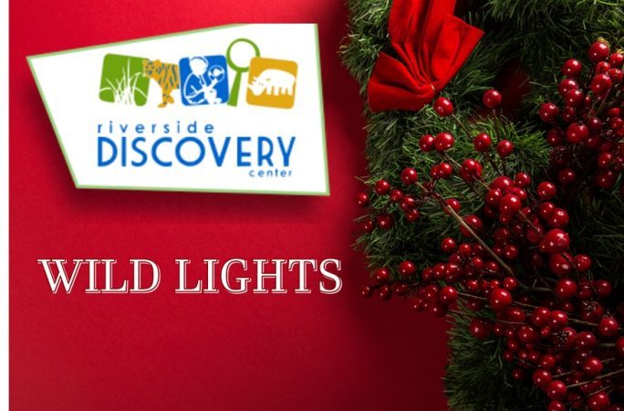 Busy December at Riverside Zoo With Several Fun Events