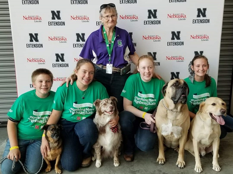 Canine Tips, Other Activities Offered at weekend 4-H Dog Club Clinic