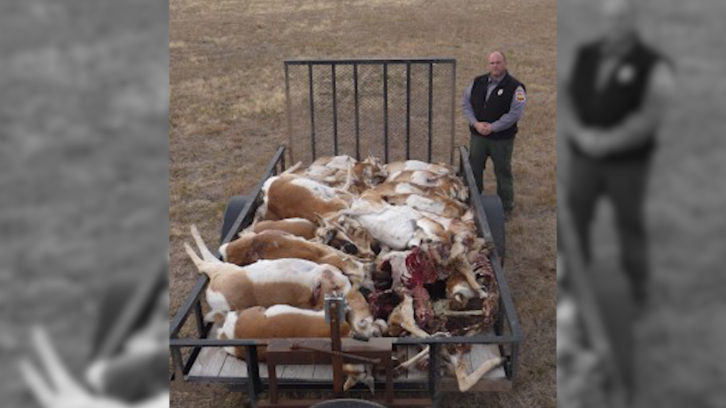 Nebraska Game and Parks Adds Online Wildlife Poaching Reporting