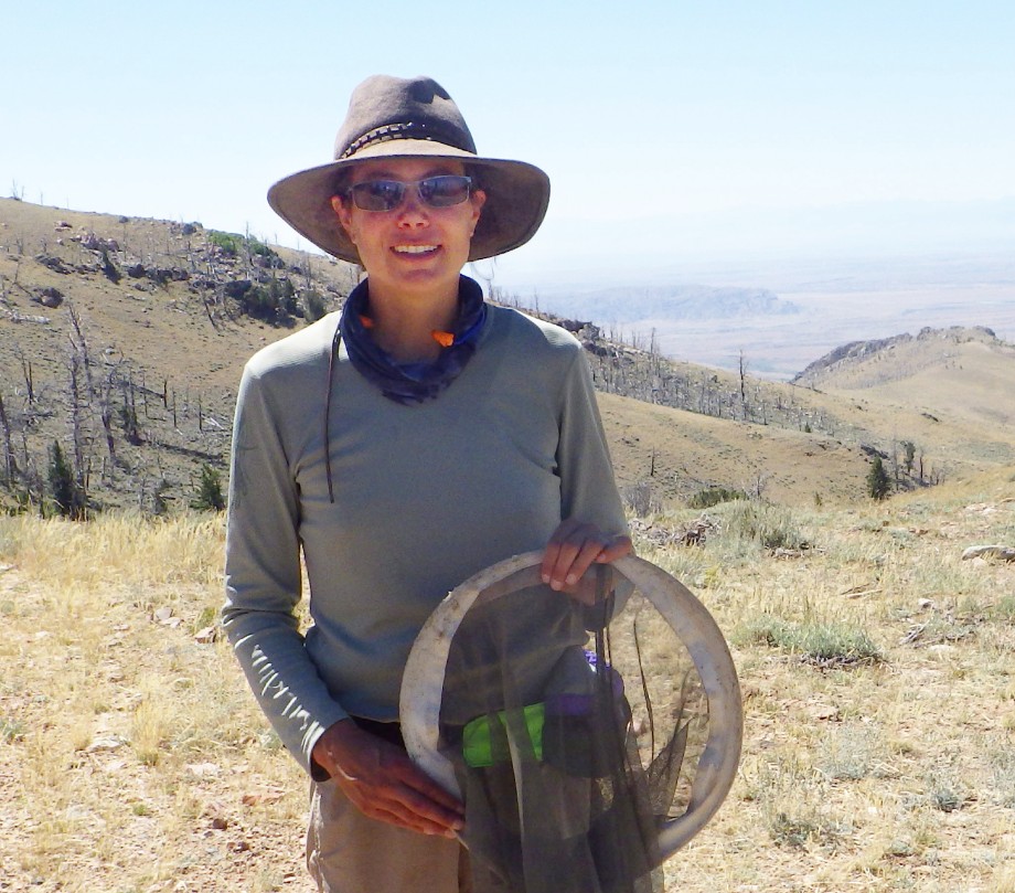 KNEB-AM 960 AM – 100.3 FM - UW Scientist Contributes to Study ...