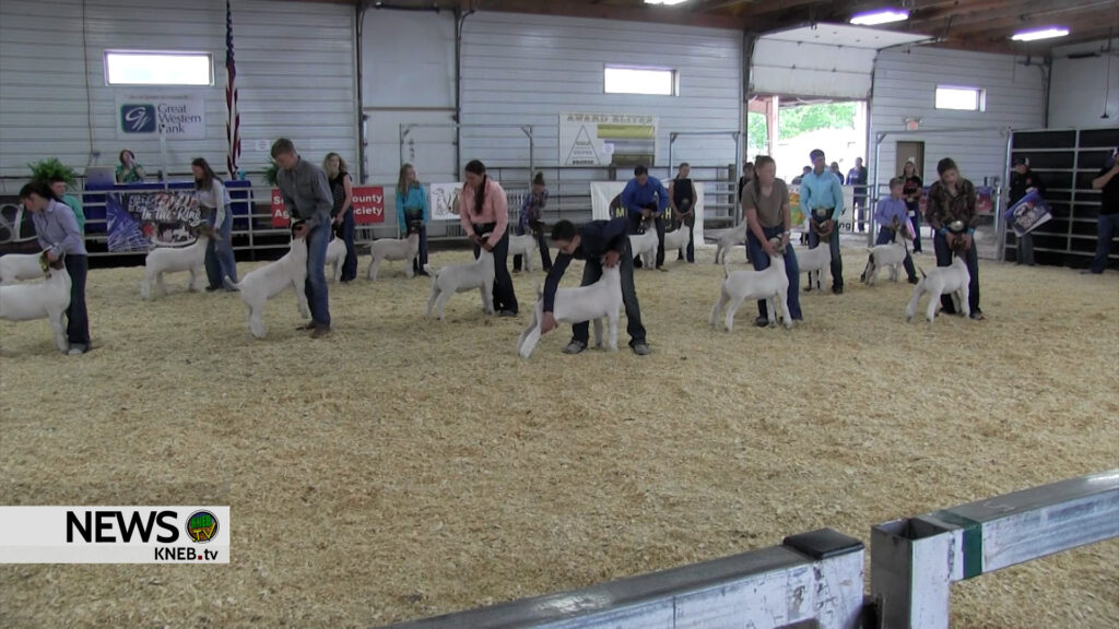 Area Youth Showcase Livestock at ‘Freedom in the Ring’ at SBCo Fairgrounds