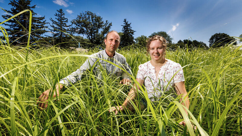 KNEB-AM 960 AM – 100.3 FM - Arboretum Staff Working With Communities to ...