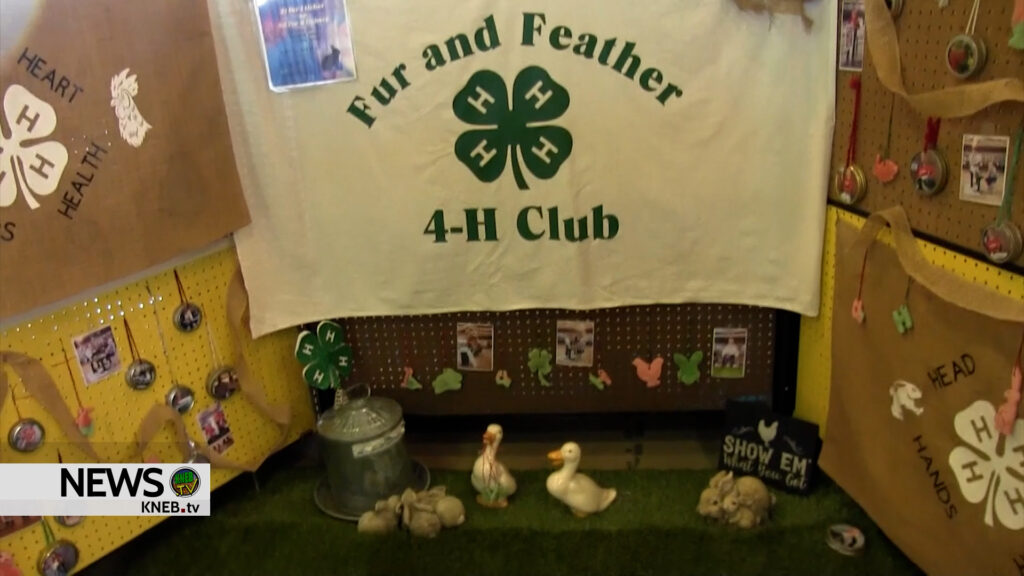 Static Exhibits at SBCo Fair Showcases Local Talent