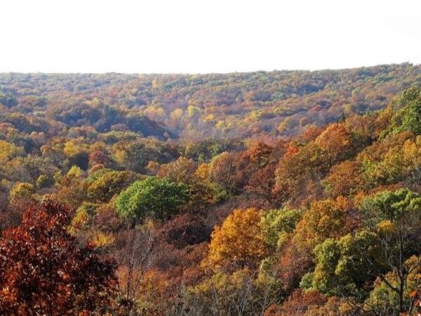 KNEB-AM 960 AM – 100.3 FM - Find Fall Color Opportunities at These 9 ...