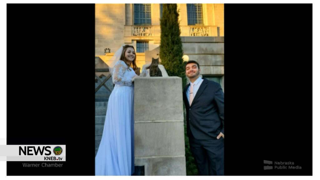 Cameron the Capitol Cat Slideshow Runs at End of Governor’s News Conference