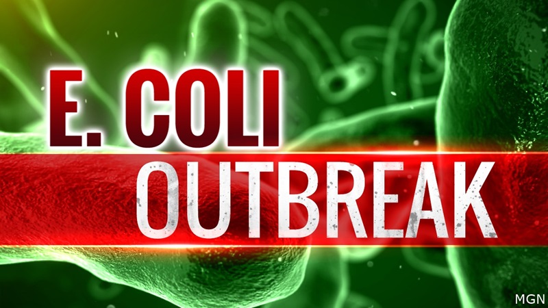 CDC Alert issued for E.coli linked to fast food illness cases in ...