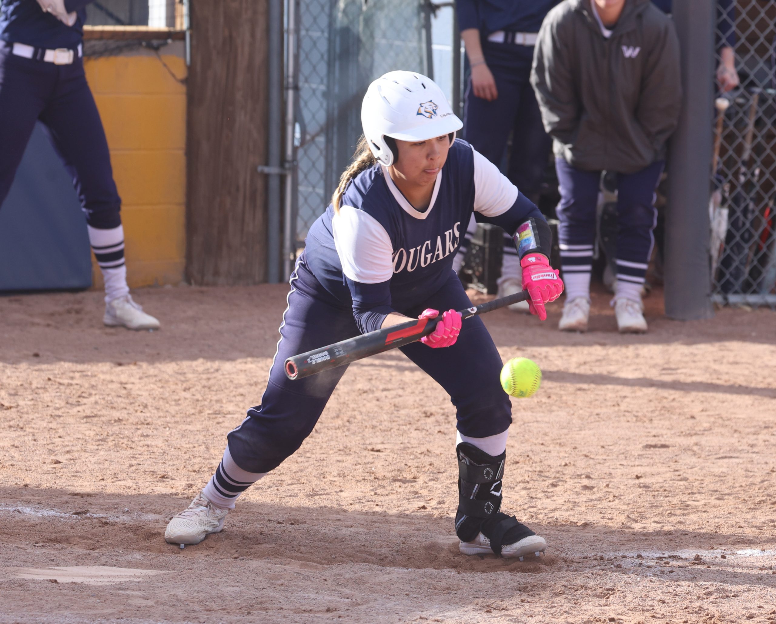 KNEB-AM 960 AM – 100.3 FM - WNCC softball comes back to take game two ...