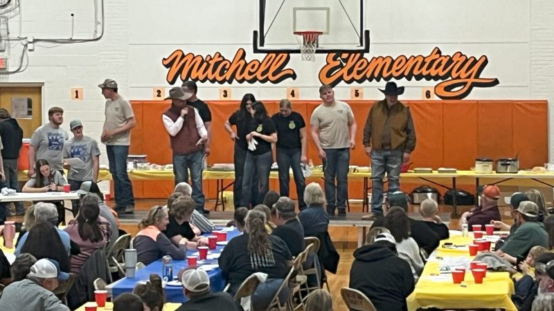 Mitchell FFA labor auction generates $50K-plus in donations