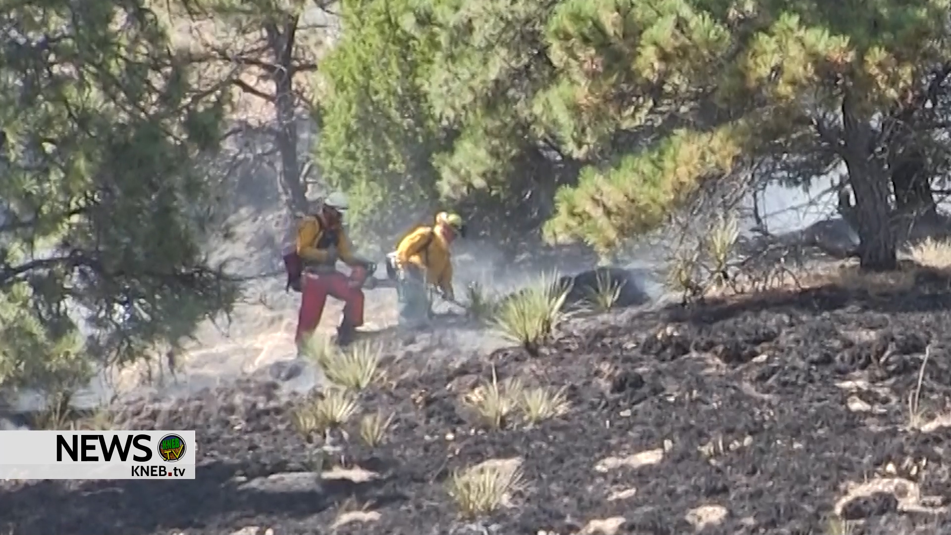 Wildfire training taking place through Sunday at Buffalo Creek WMA