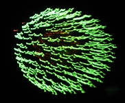 West Point Fireworks show to be held 4th of July - The Bull