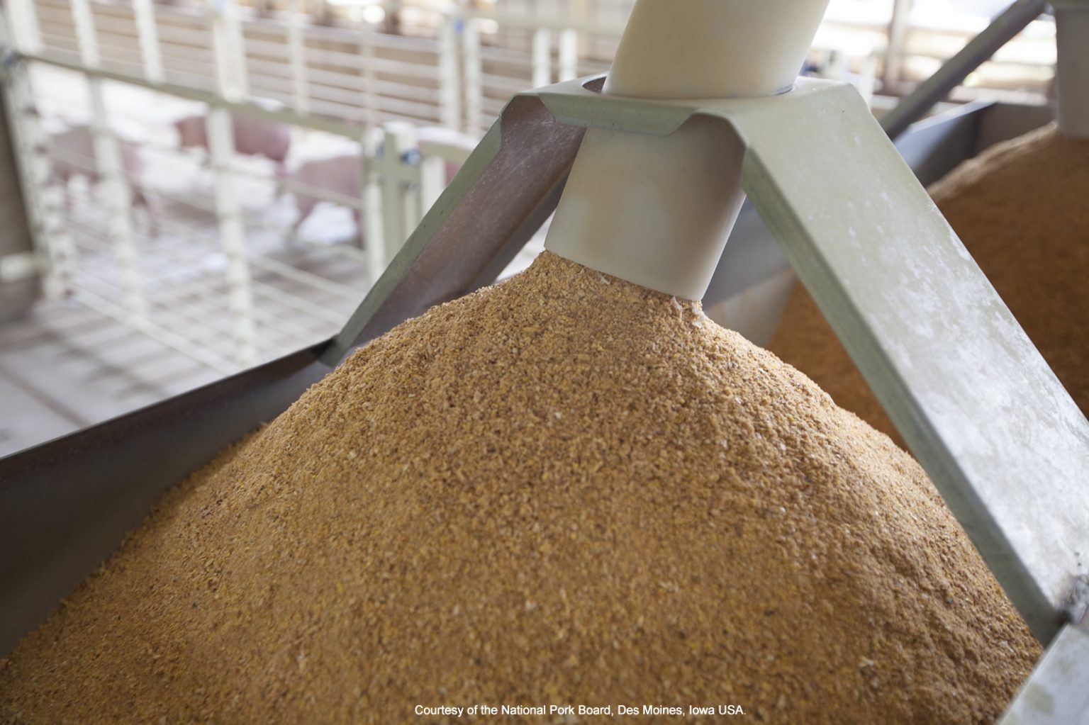 KTIC- 840 AM, 98.3 FM and 107.9 the Bull - Today's Hottest Country Music